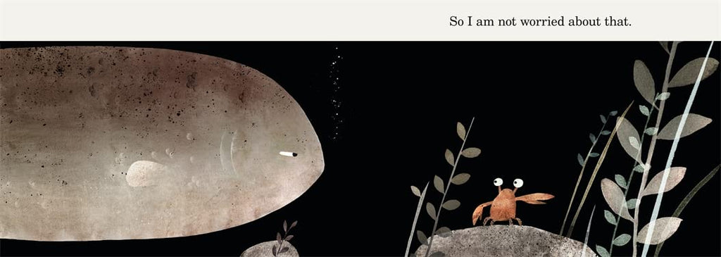 This Is Not My Hat Board Book by Jon Klassen – Mochi Kids